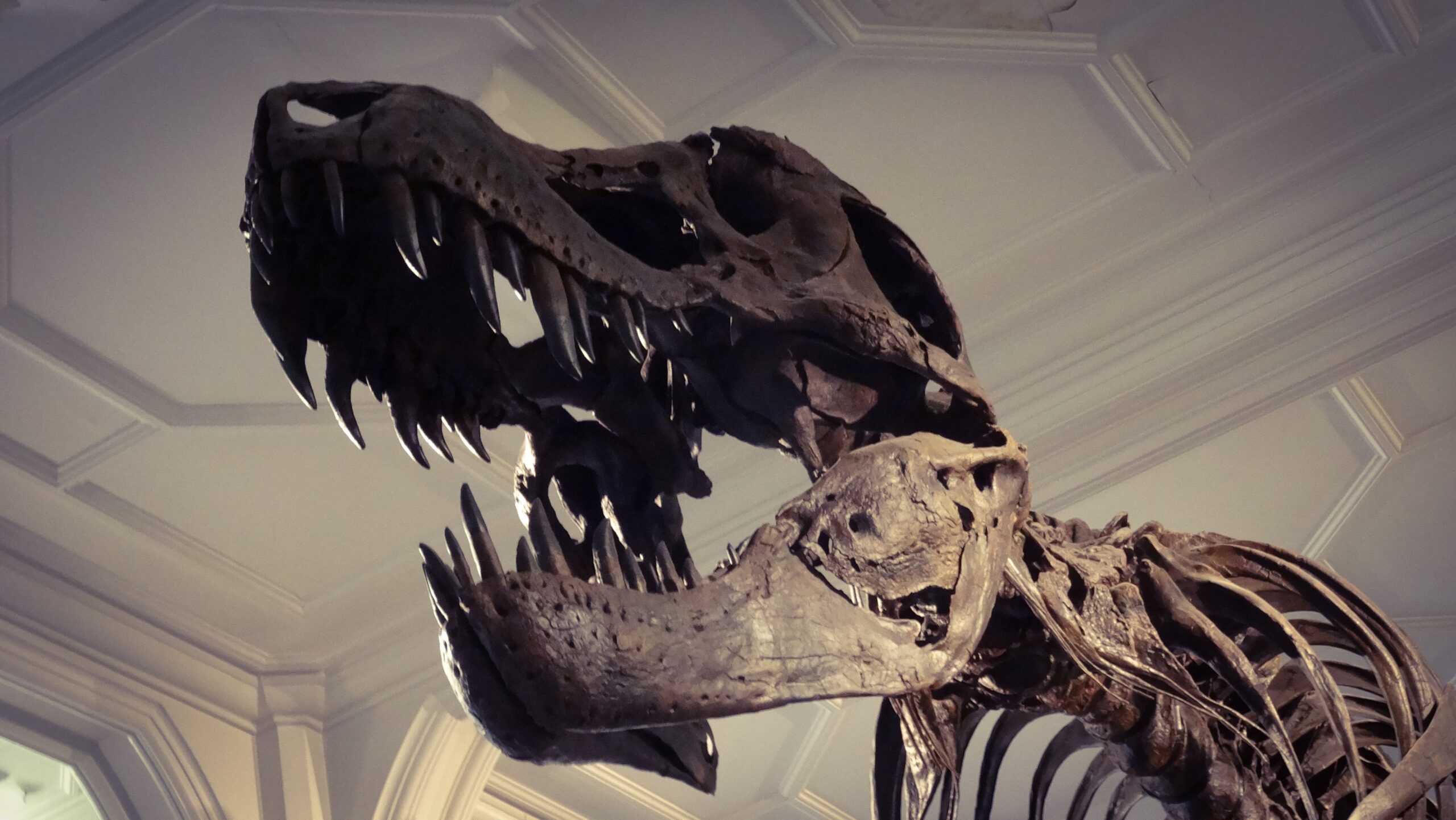 Free things to do in Manchester this week ft. Force of Nature at ...