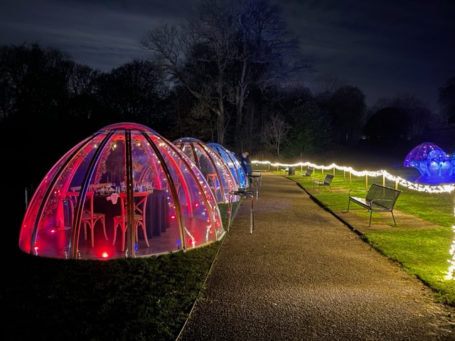 Lightopia Manchester review: a psychedelic trip for the whole family ...
