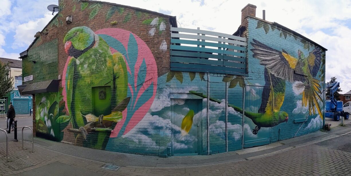 New mural celebrating South Manchester's famous parakeets appears in ...