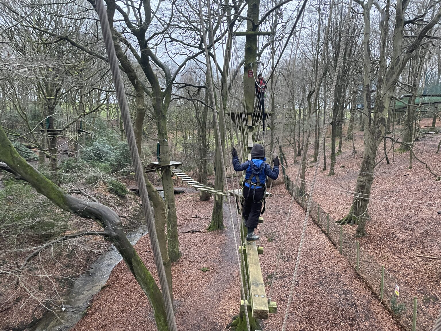 Fly through the trees of Heaton Park at Zip World Manchester ...