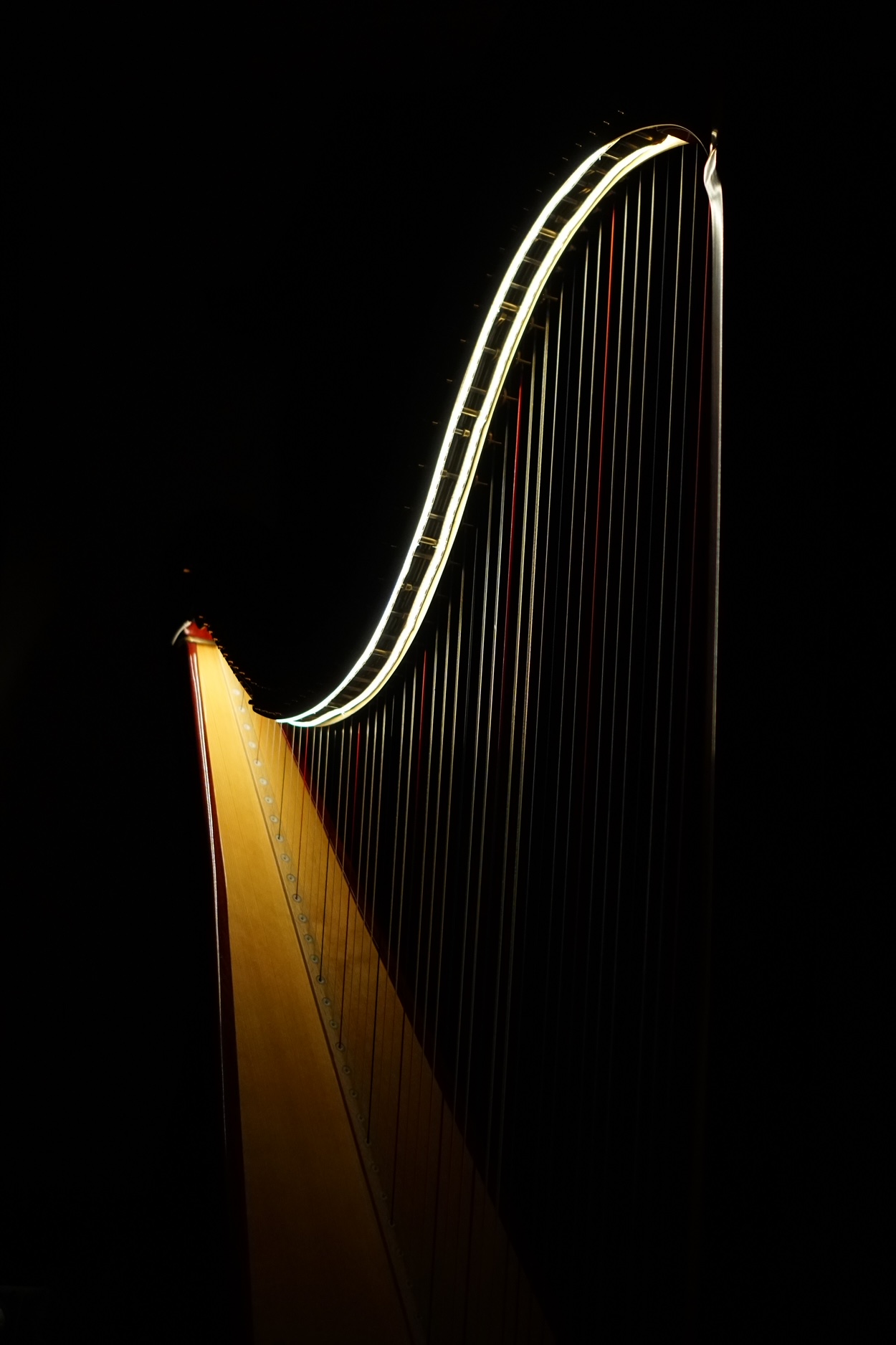 An immersive glow-in-the-dark harp experience is coming to The Stoller Hall