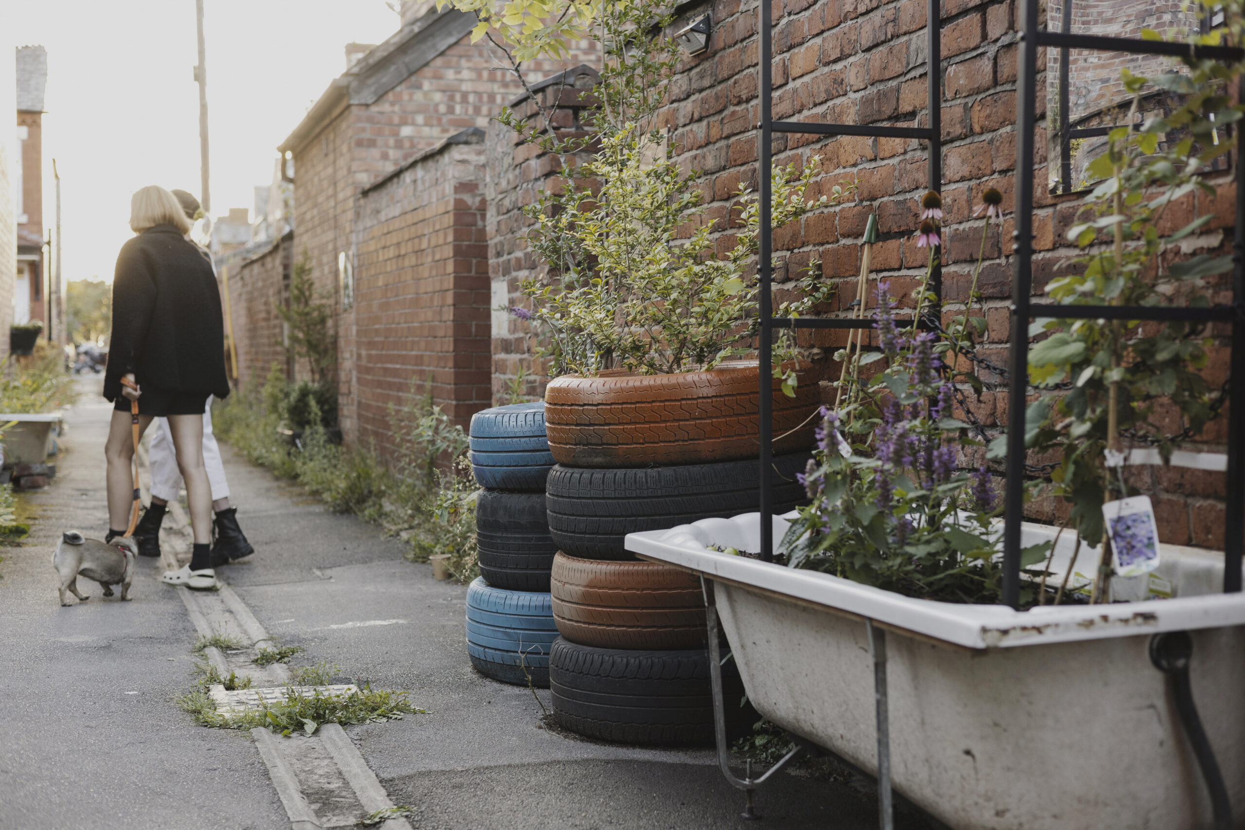 Moss Side residents who transformed ginnels into gorgeous green space ...