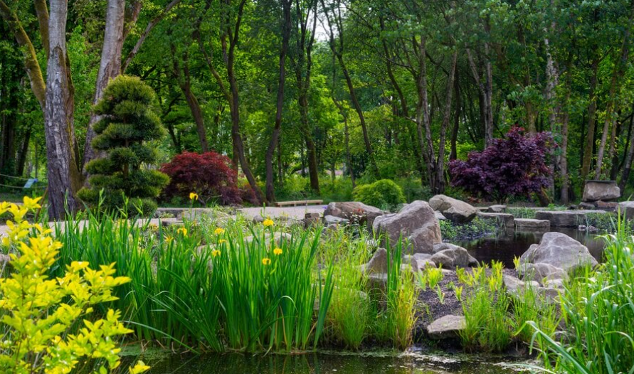 The best: Botanical gardens around Greater Manchester